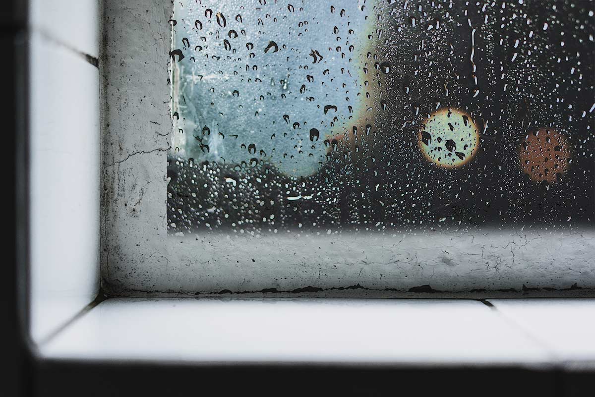 Issues Covered – Tenants Assist